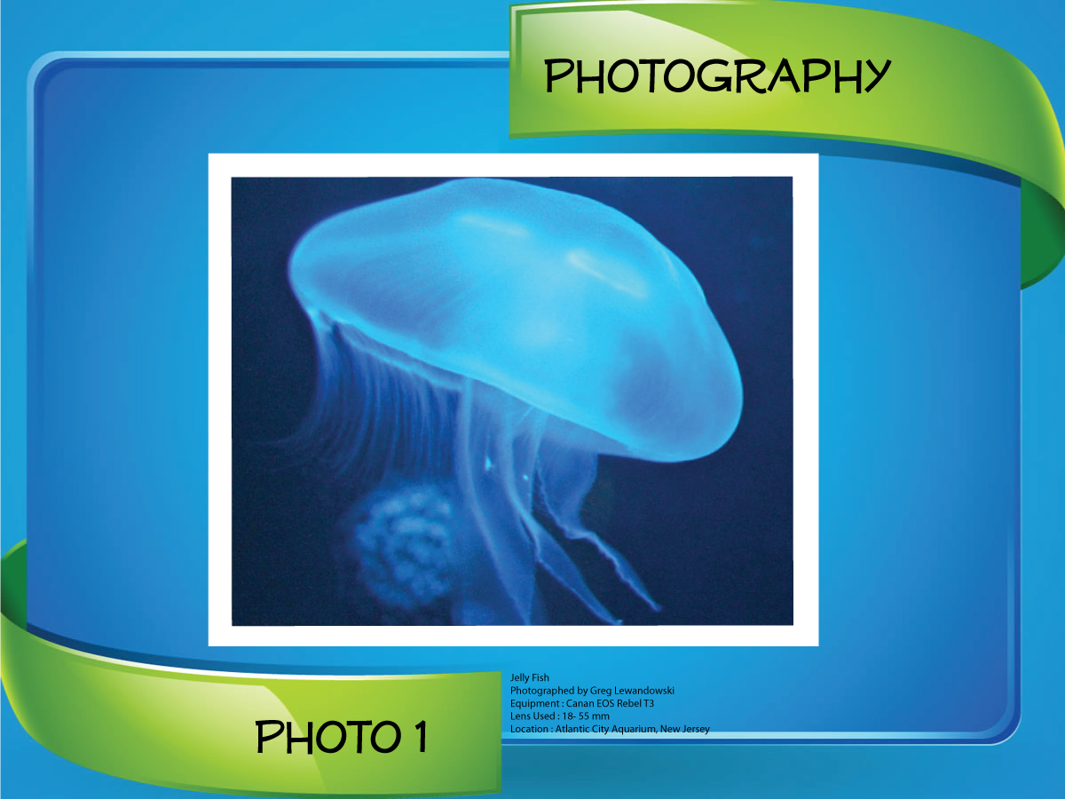 Art & Photography | Greg Lewandowski | Portfolio